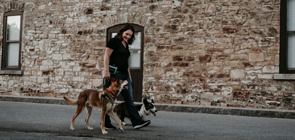 The Corporate Dog Trainer